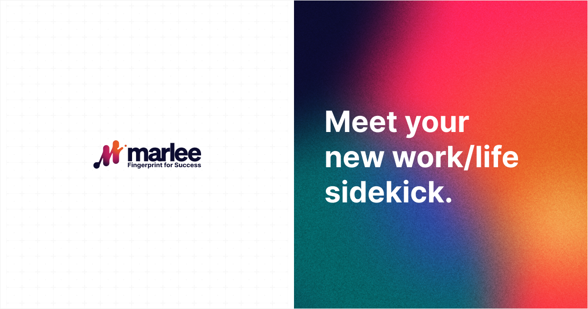 Describe your unique company culture: A guide with examples - Blog - Marlee